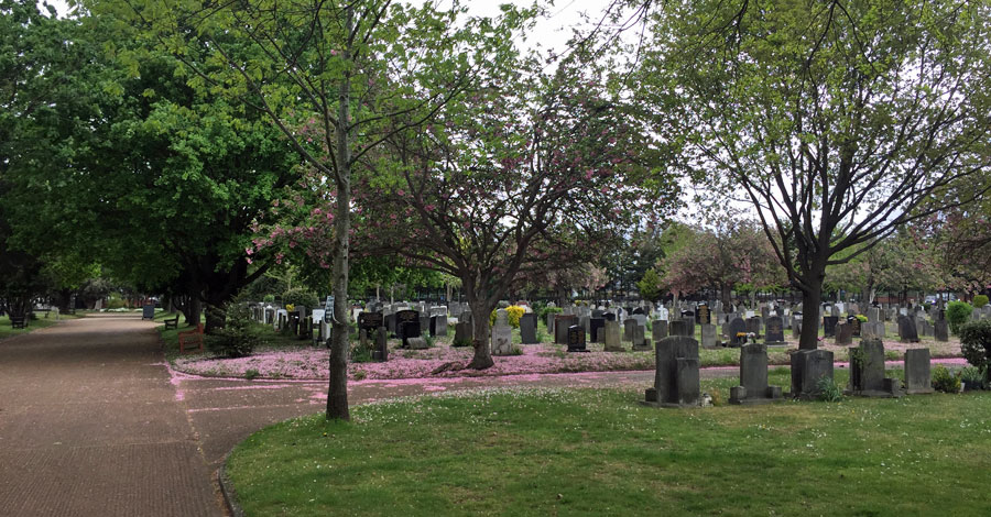 Organising a burial funeral in Richmond upon Thames - White Rose Modern ...